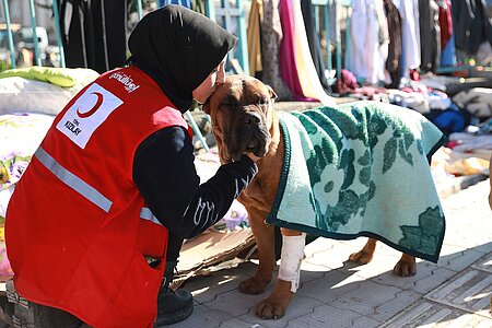 Spenden für Erdbebenopfer in der Türkei und Syrien - DRK e.V.